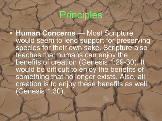 Christian Environmental Ethics | PPT | Christianity | Religion ...