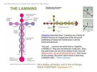 Christian ascetism | PPT