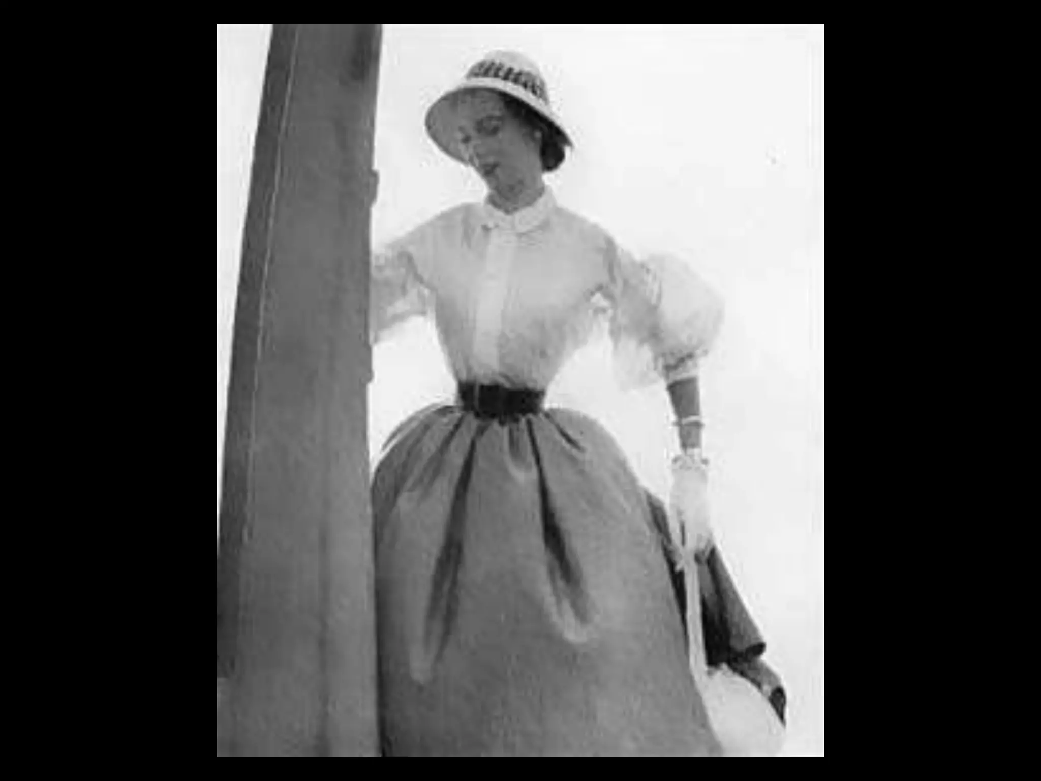 Christian Dior Powerpoint | PPTX