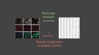 CORBEL Bioimage Analysis webinar slides | PPT