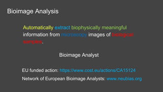 CORBEL Bioimage Analysis webinar slides | PPT