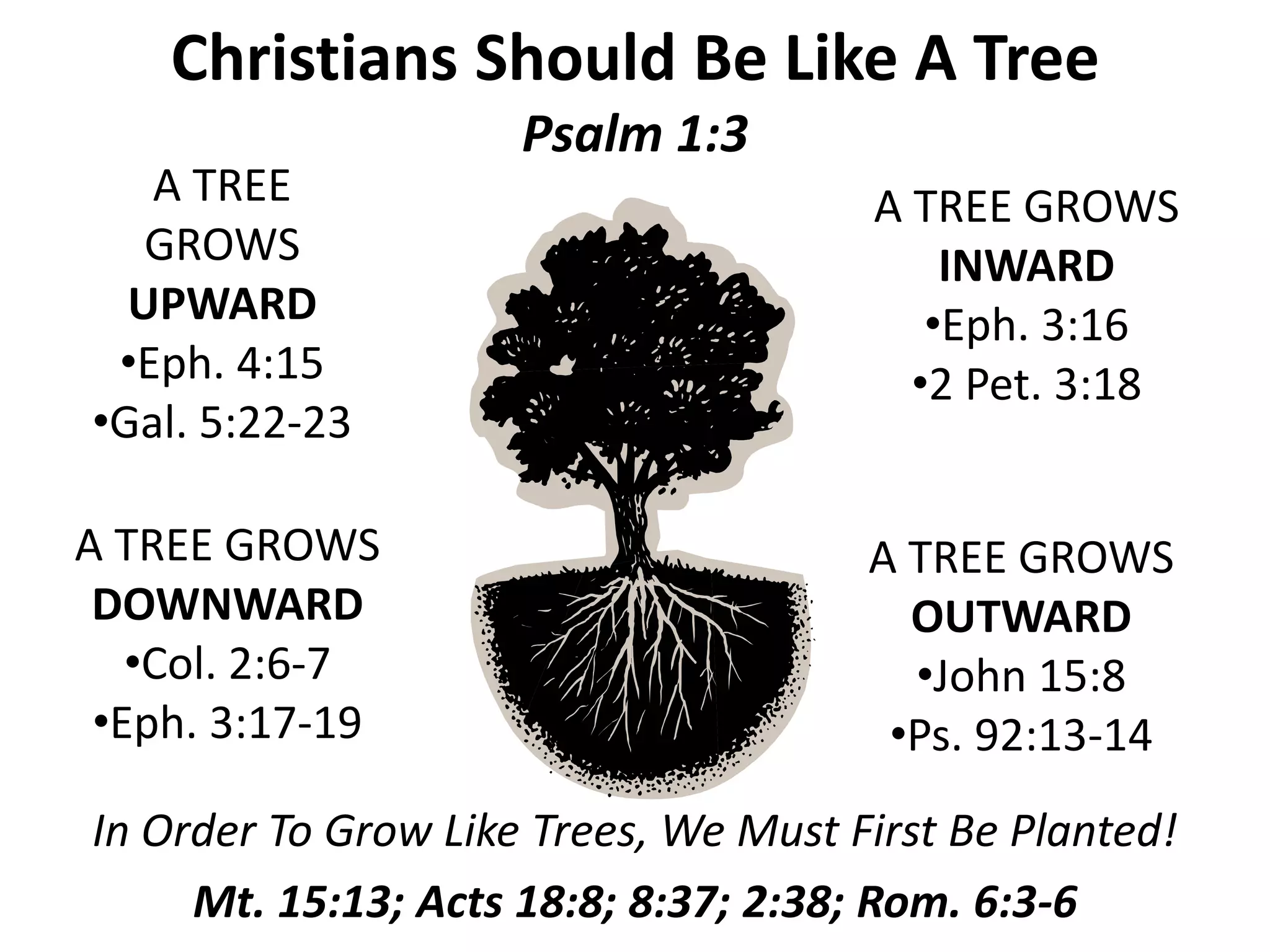Christians should be like a tree | PPTX | Christianity | Religion ...