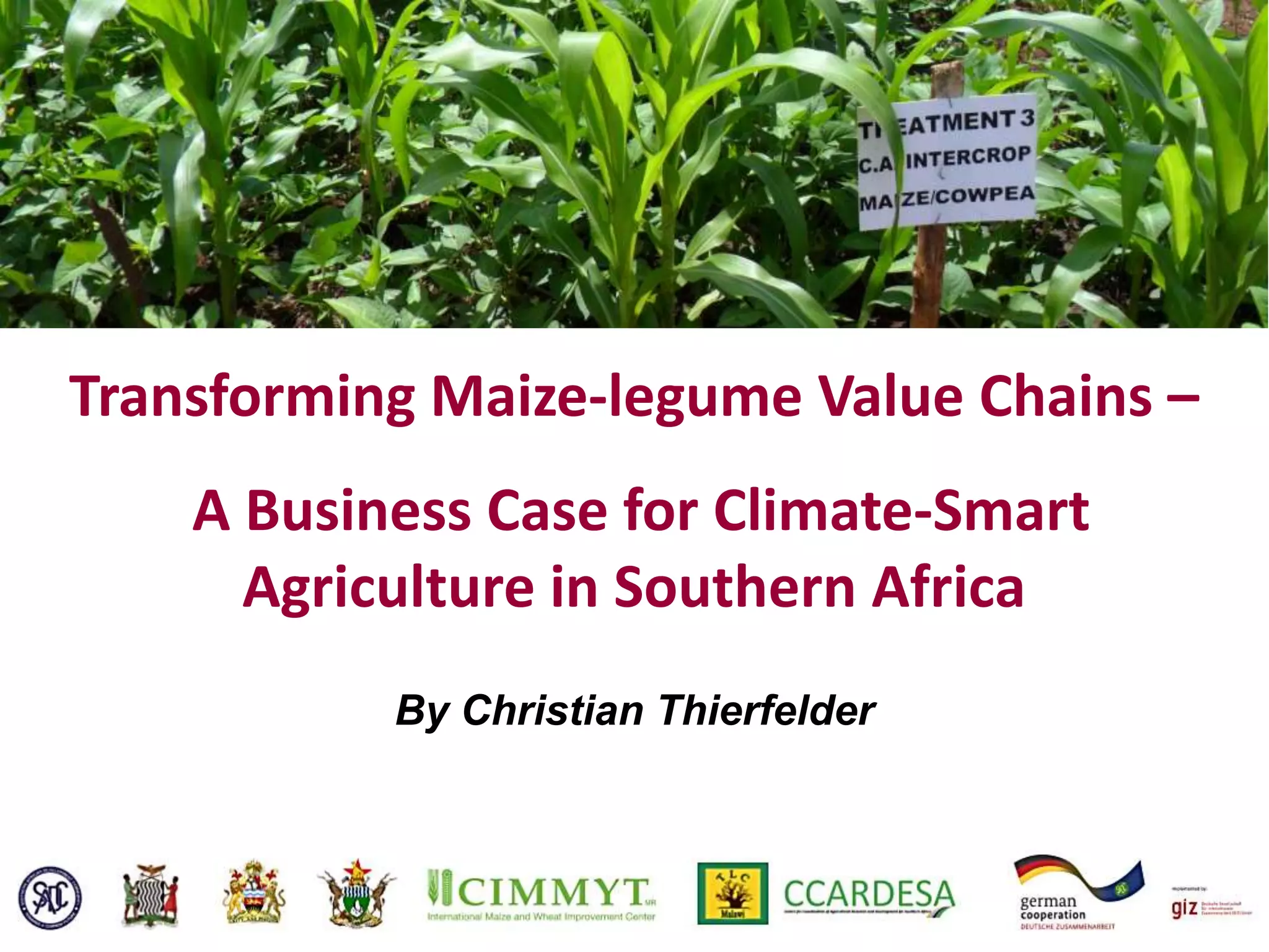 Transforming Maize-legume Value Chains – A Business Case for Climate ...