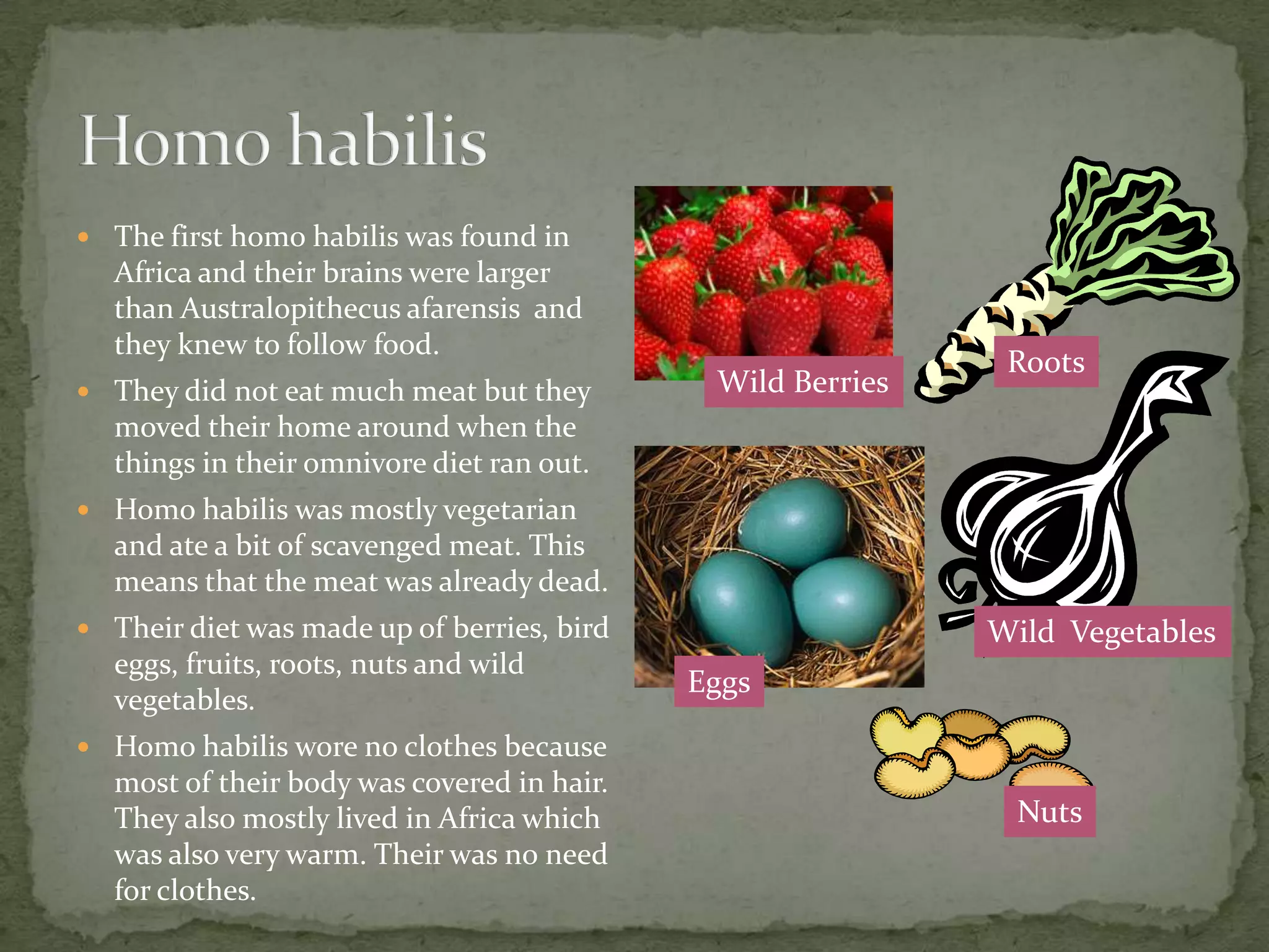 Christina early manfoodandclothing | PPTX