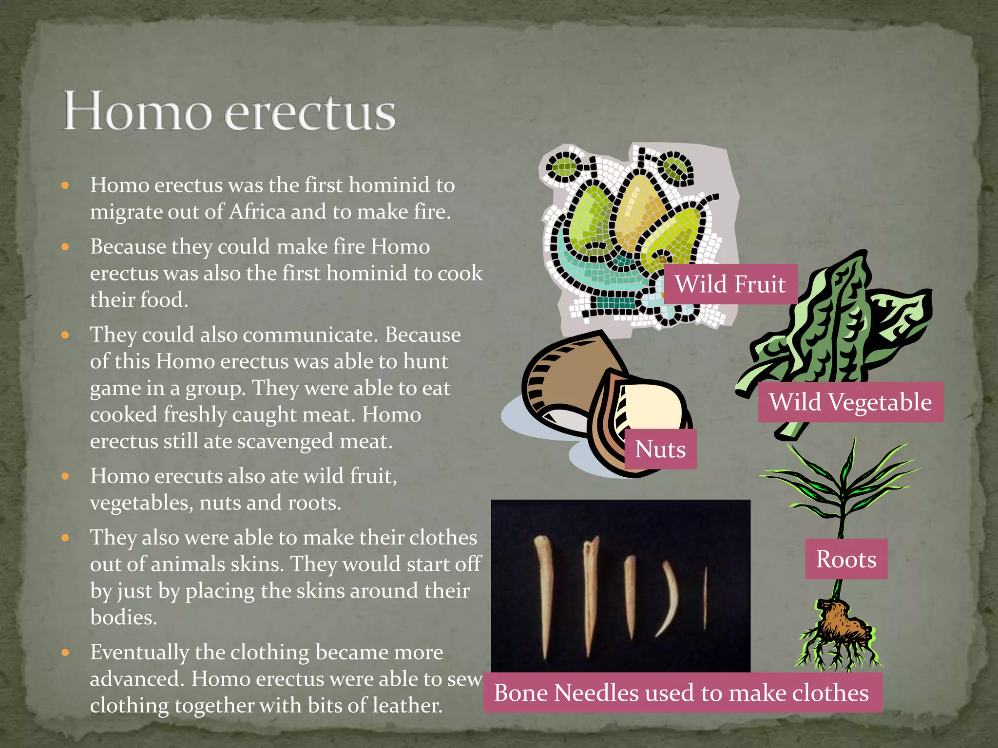 Christina early manfoodandclothing | PPTX