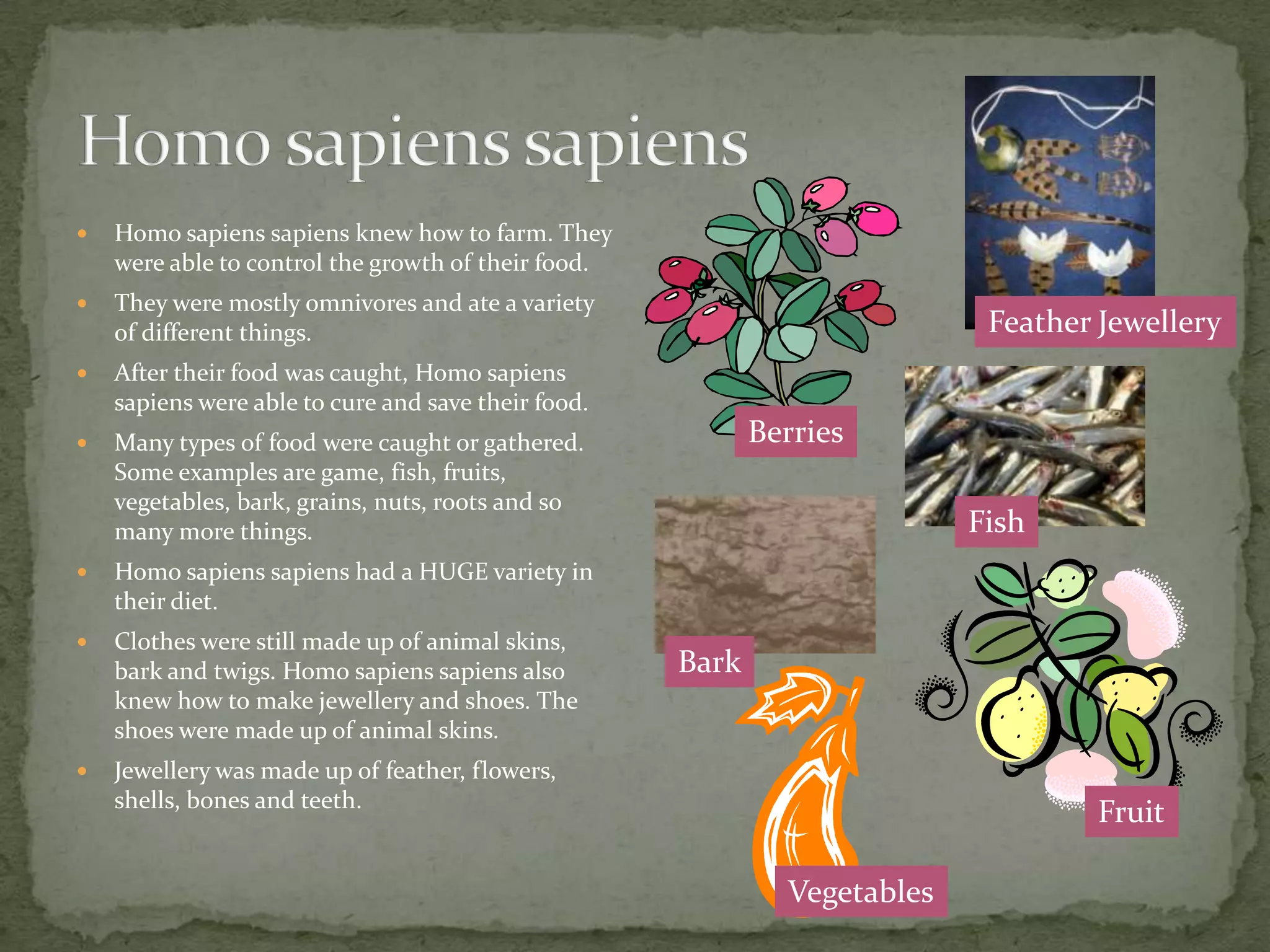 Christina early manfoodandclothing | PPTX