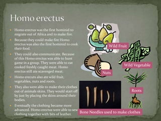 Christina early manfoodandclothing | PPTX