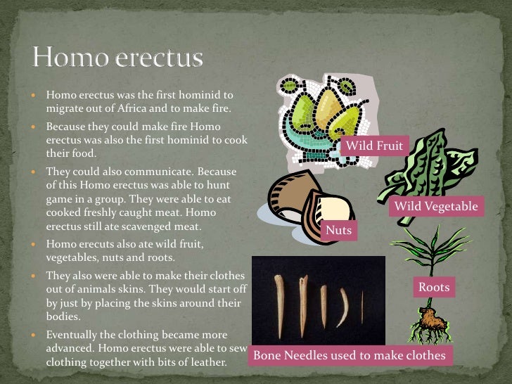 Christina early manfoodandclothing