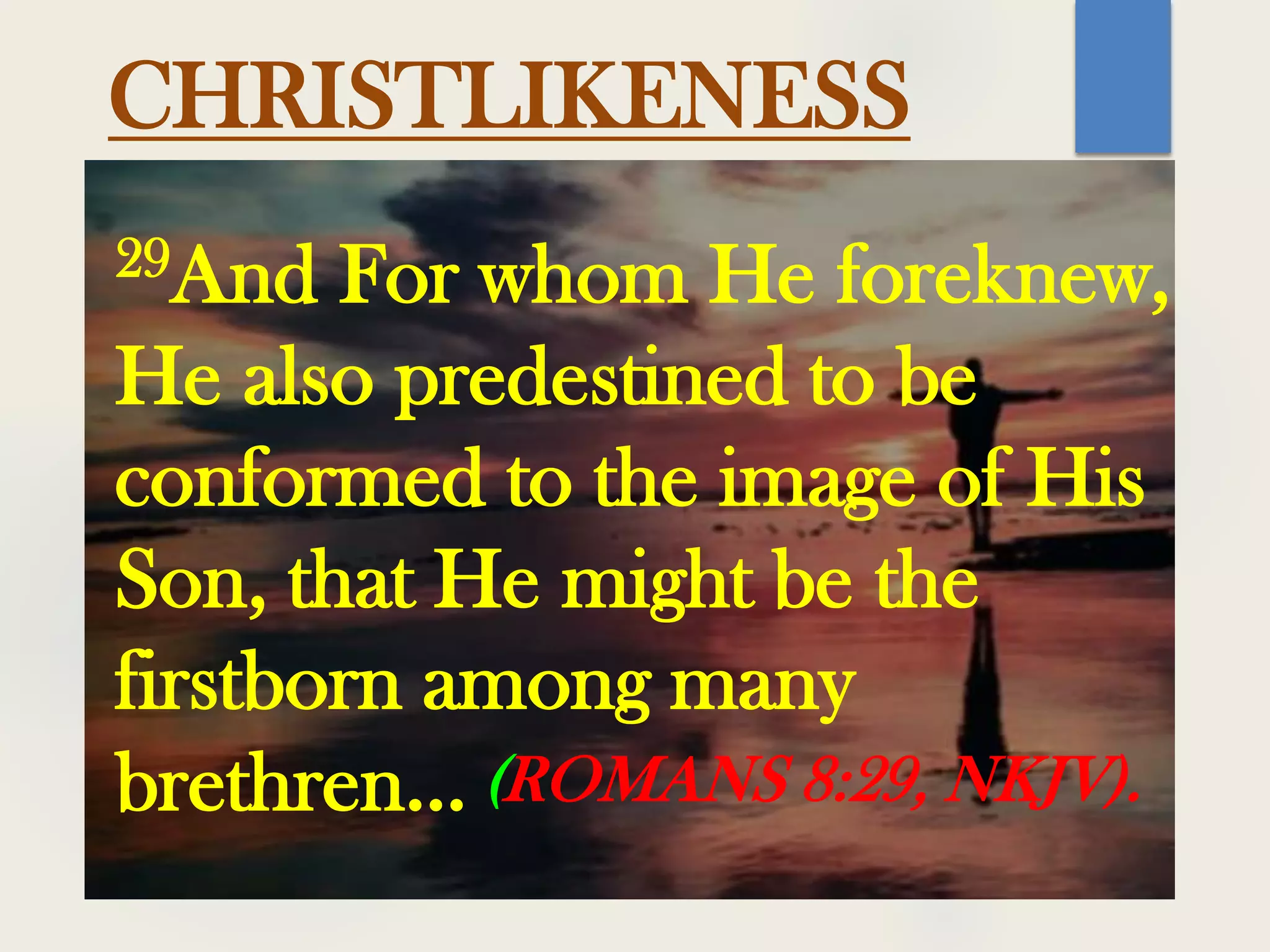Christlikeness.edited.pdf