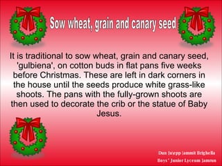 Christmas In Malta | PPT