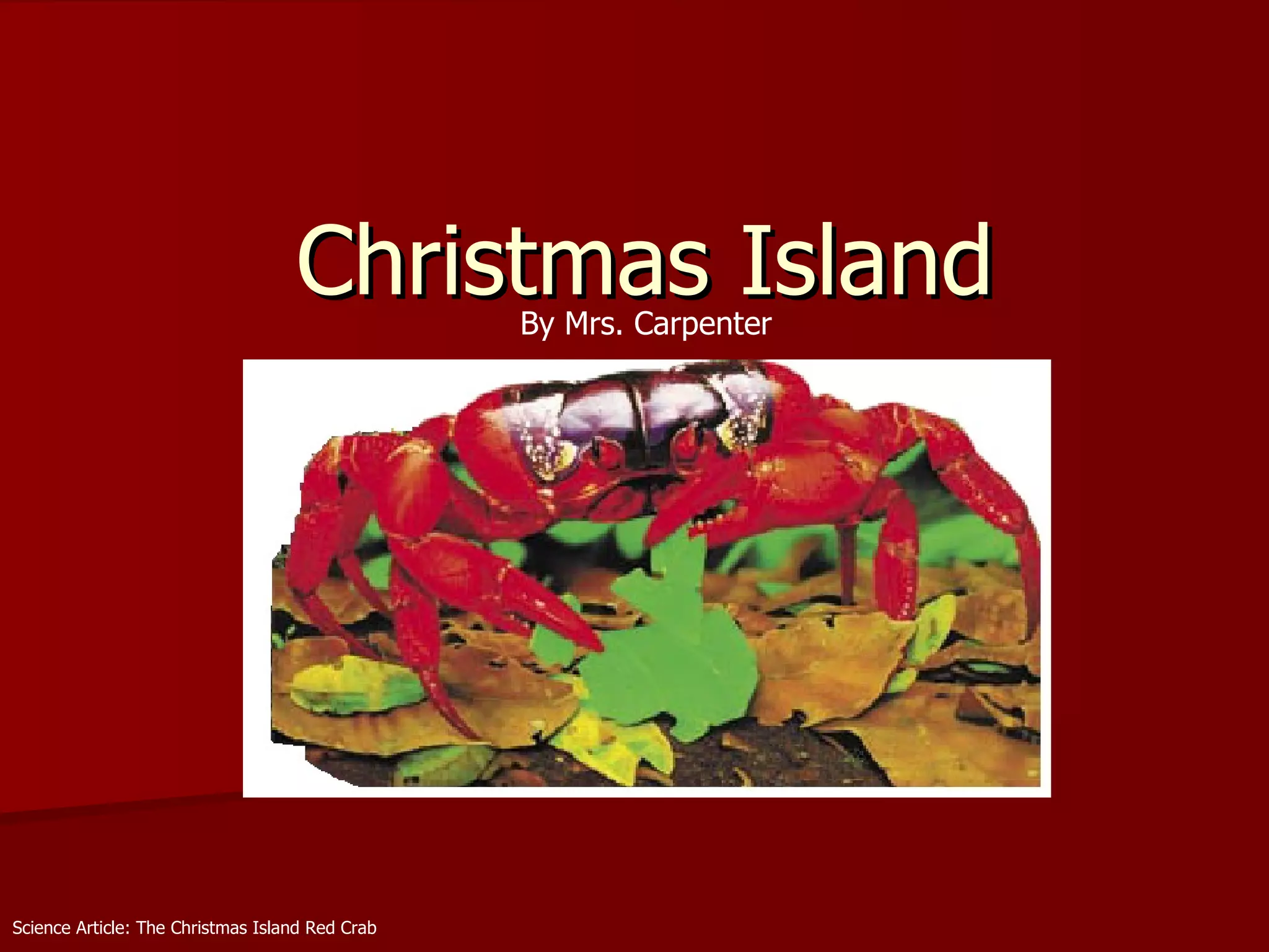 Christmas Island Crab Migration | PPT