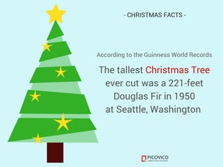 Christmas Facts | PDF