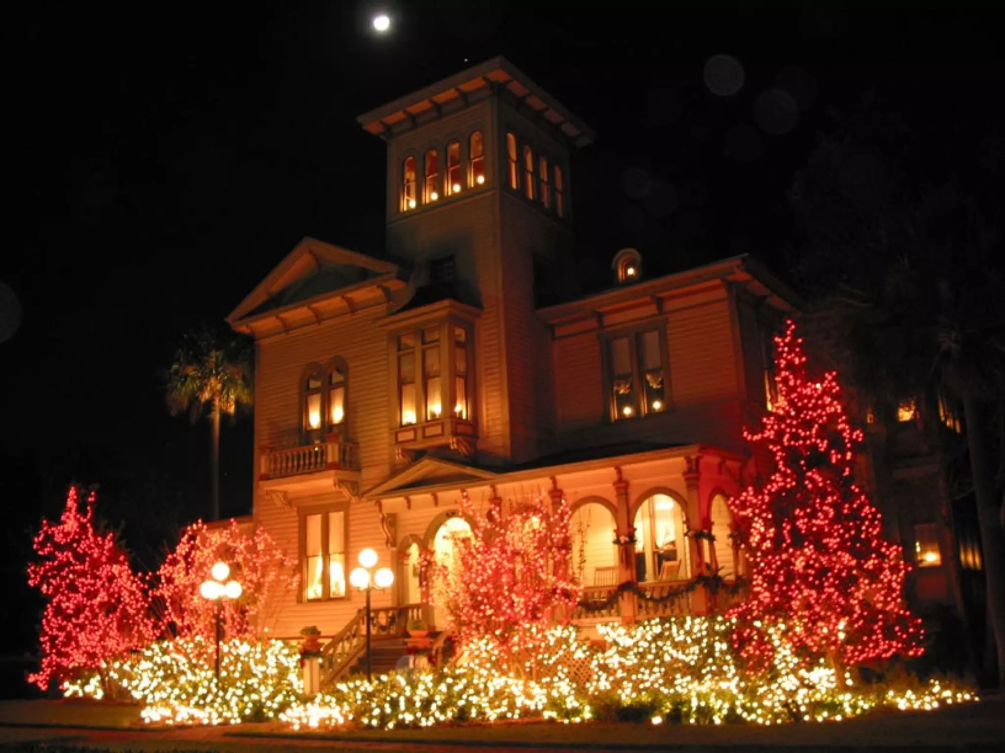Christmas photos | PPT