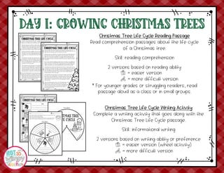 Christams Tree Farm Activity for students | PDF