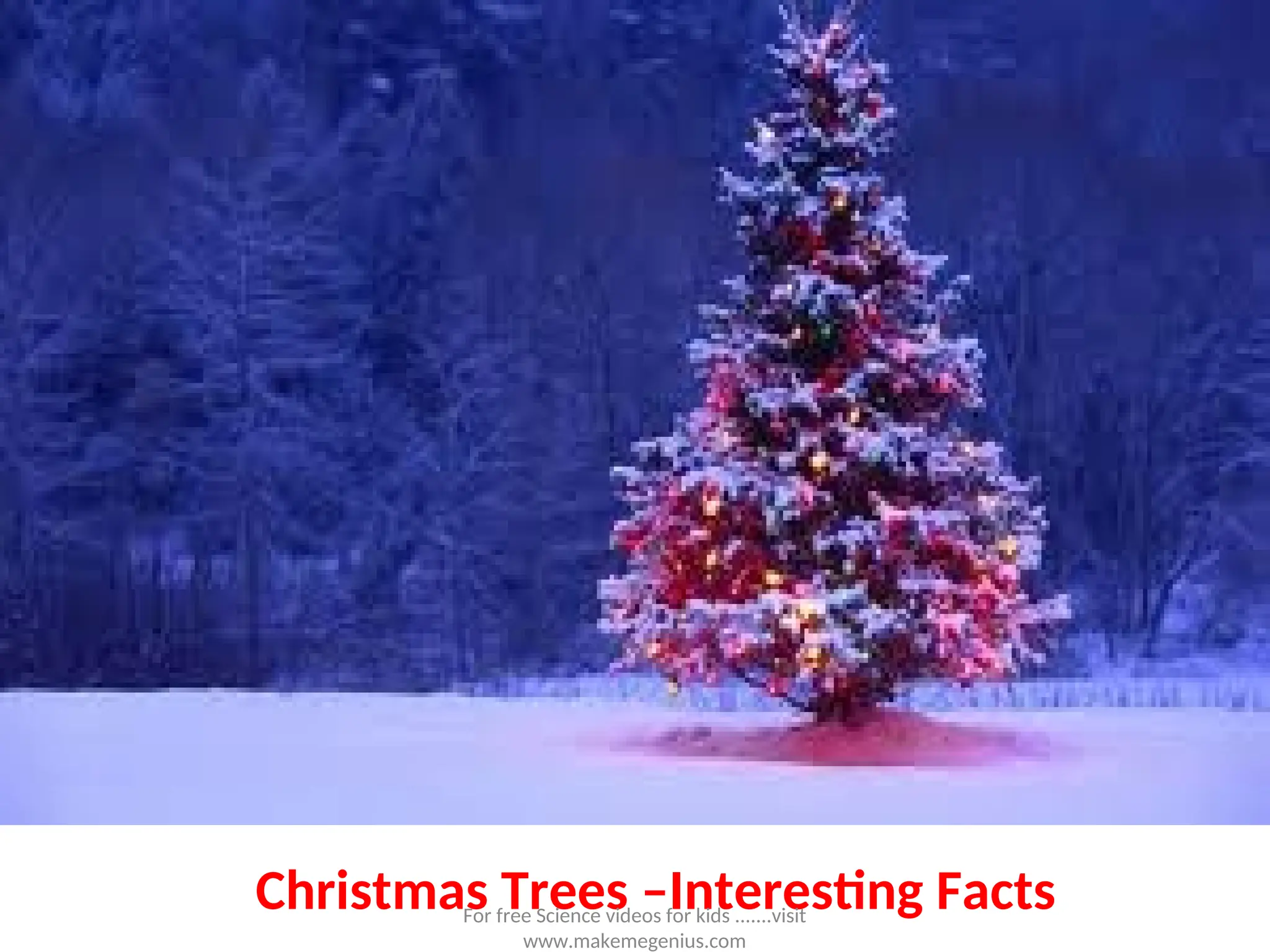 Christmas_Trees__Interesting___Facts.ppt
