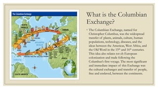 Lauren Robinson's Christopher Columbus 5P Project | PDF