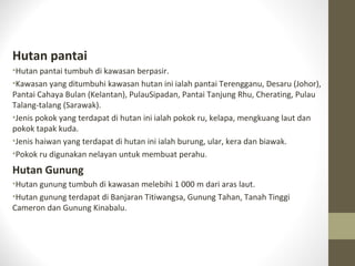 Sumber Hutan | PPT