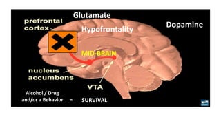 Dr. Chris Tuell - The CUBIS Model for Addiction Recovery | PPTX
