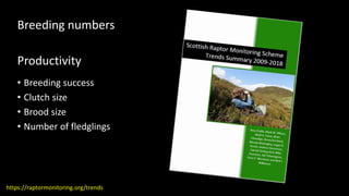 SRMS trends in breeding numbers & productivity | PPT