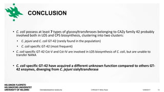 Exploring the role of Campylobacter. coli GT-42 enzymes on LOS ...