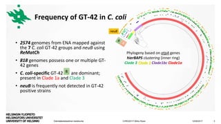 Exploring the role of Campylobacter. coli GT-42 enzymes on LOS ...