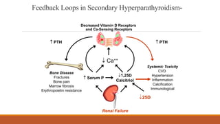 Chronic renal failure update on diagnostic tests | PPTX