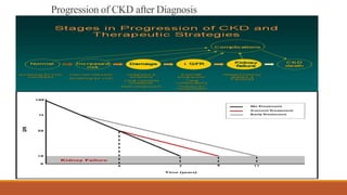 Chronic renal failure update on diagnostic tests | PPT