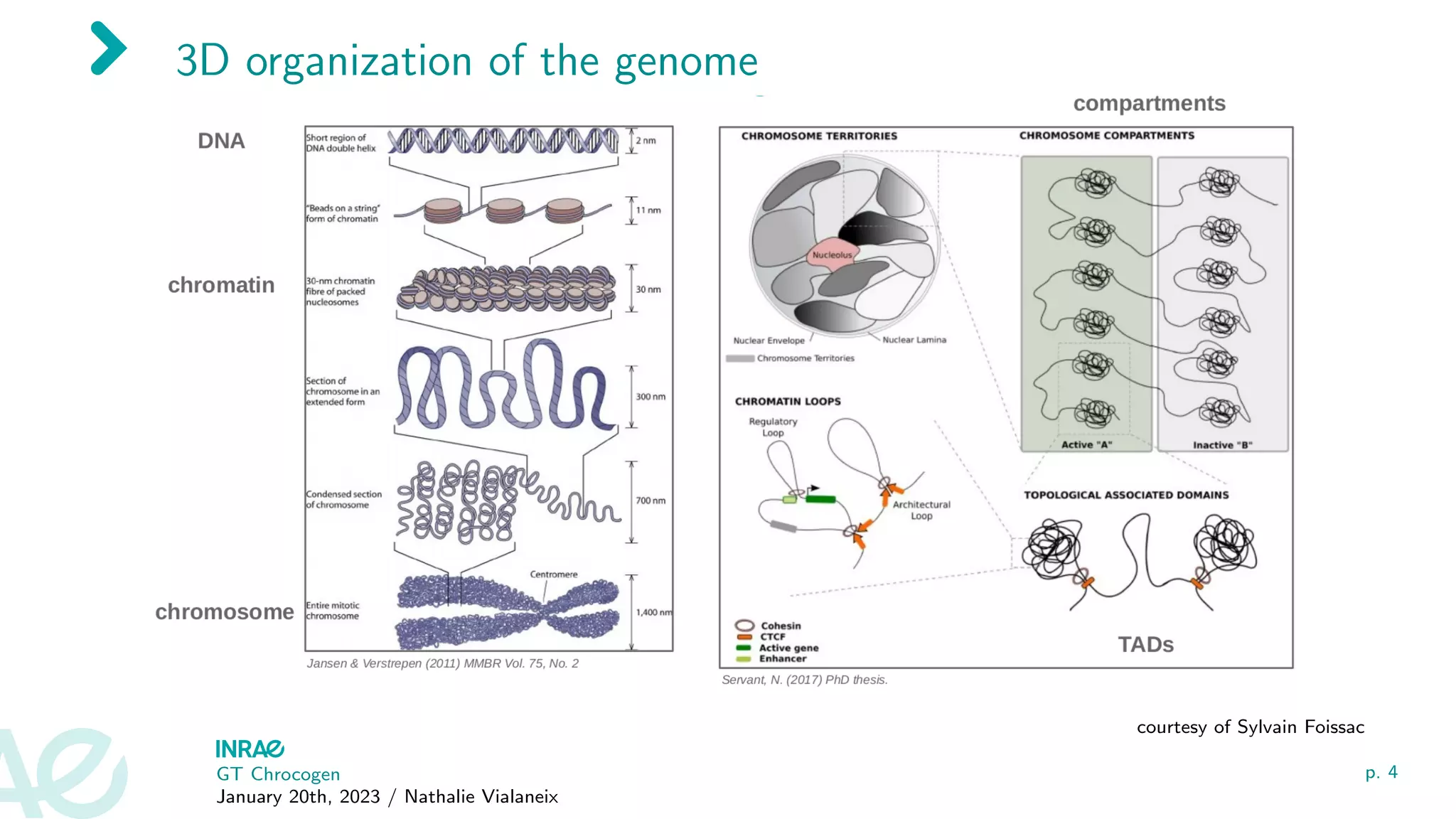 Can deep learning learn chromatin structure from sequence? | PPT