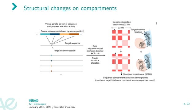 Can deep learning learn chromatin structure from sequence? | PPT