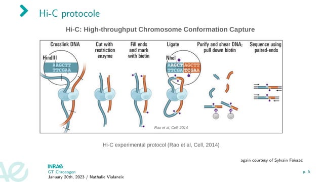 Can deep learning learn chromatin structure from sequence? | PPT