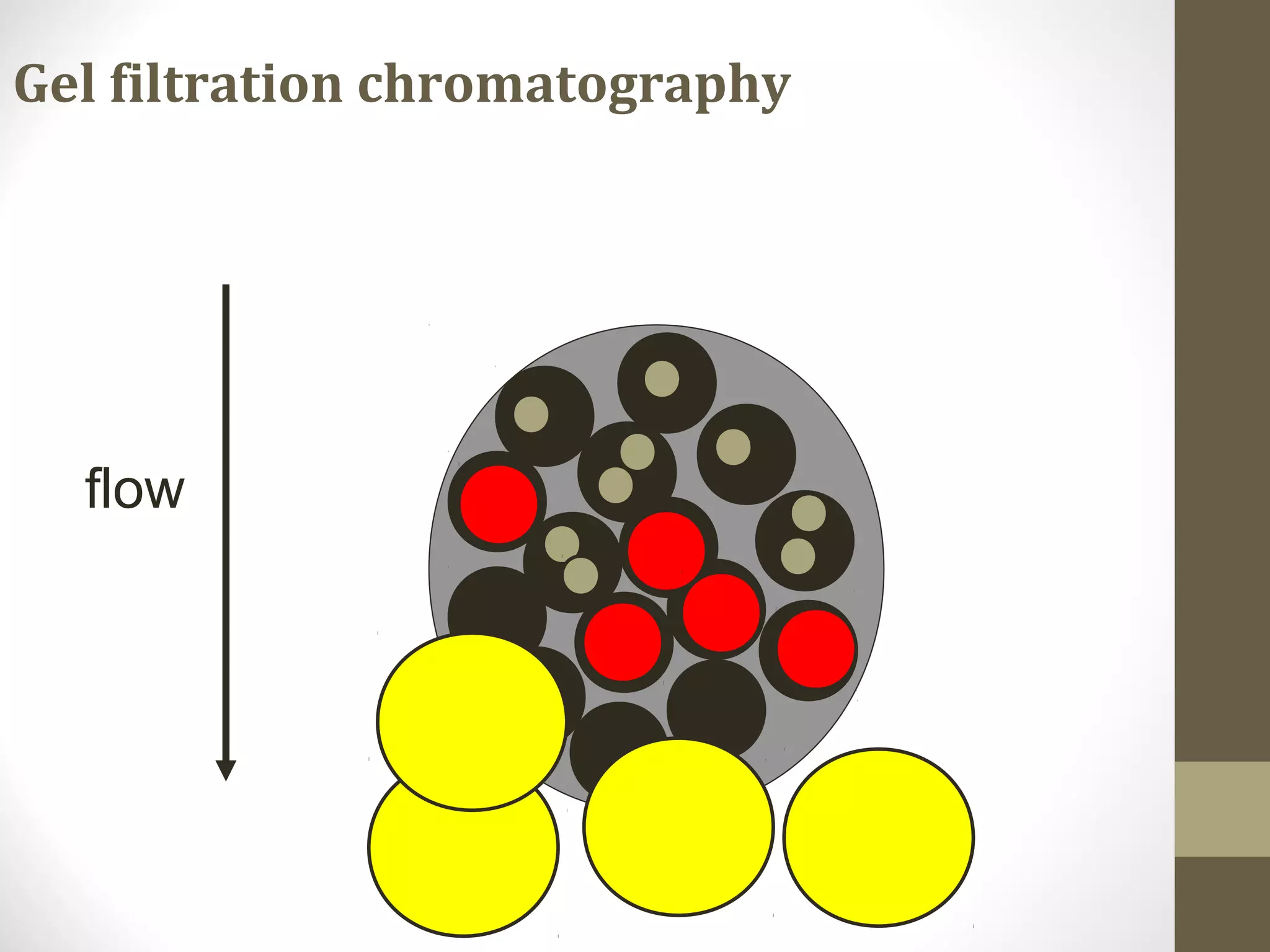 Chromatographic Methods Of Analysis Gel Chromatography Method Ppt