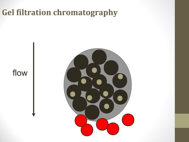 Chromatographic Methods of Analysis ( Gel Chromatography Method ) | PPT ...