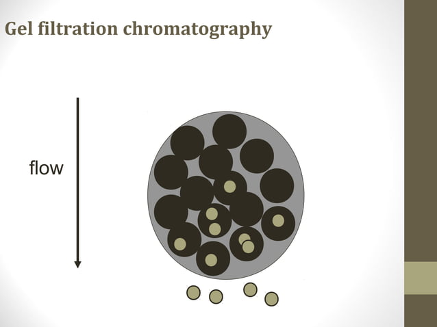 Chromatographic Methods of Analysis ( Gel Chromatography Method ) | PPT ...