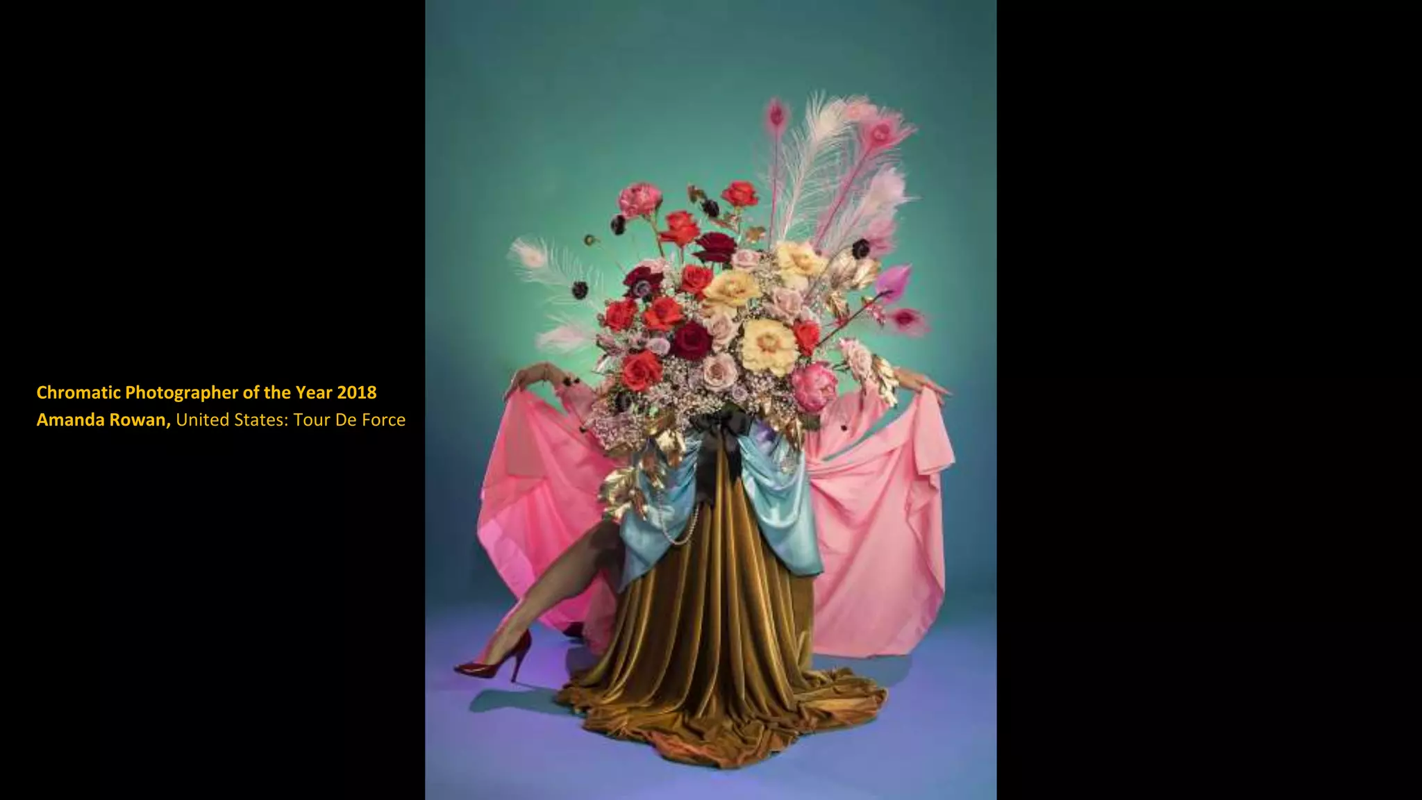 Chromatic Awards International Color Photography Contest:Winners | PPT