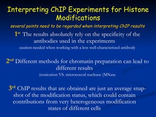 Chromatin | PPT
