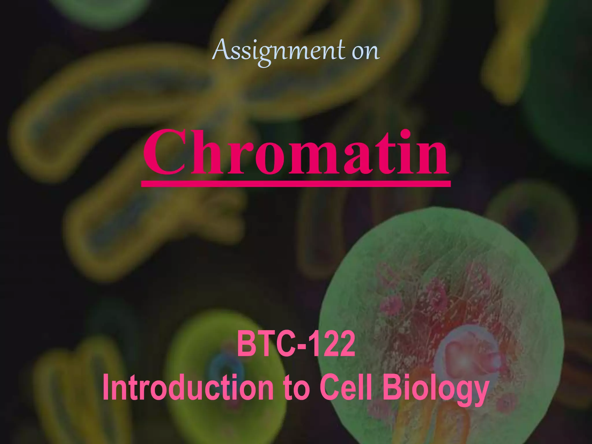 Chromatin | PPT