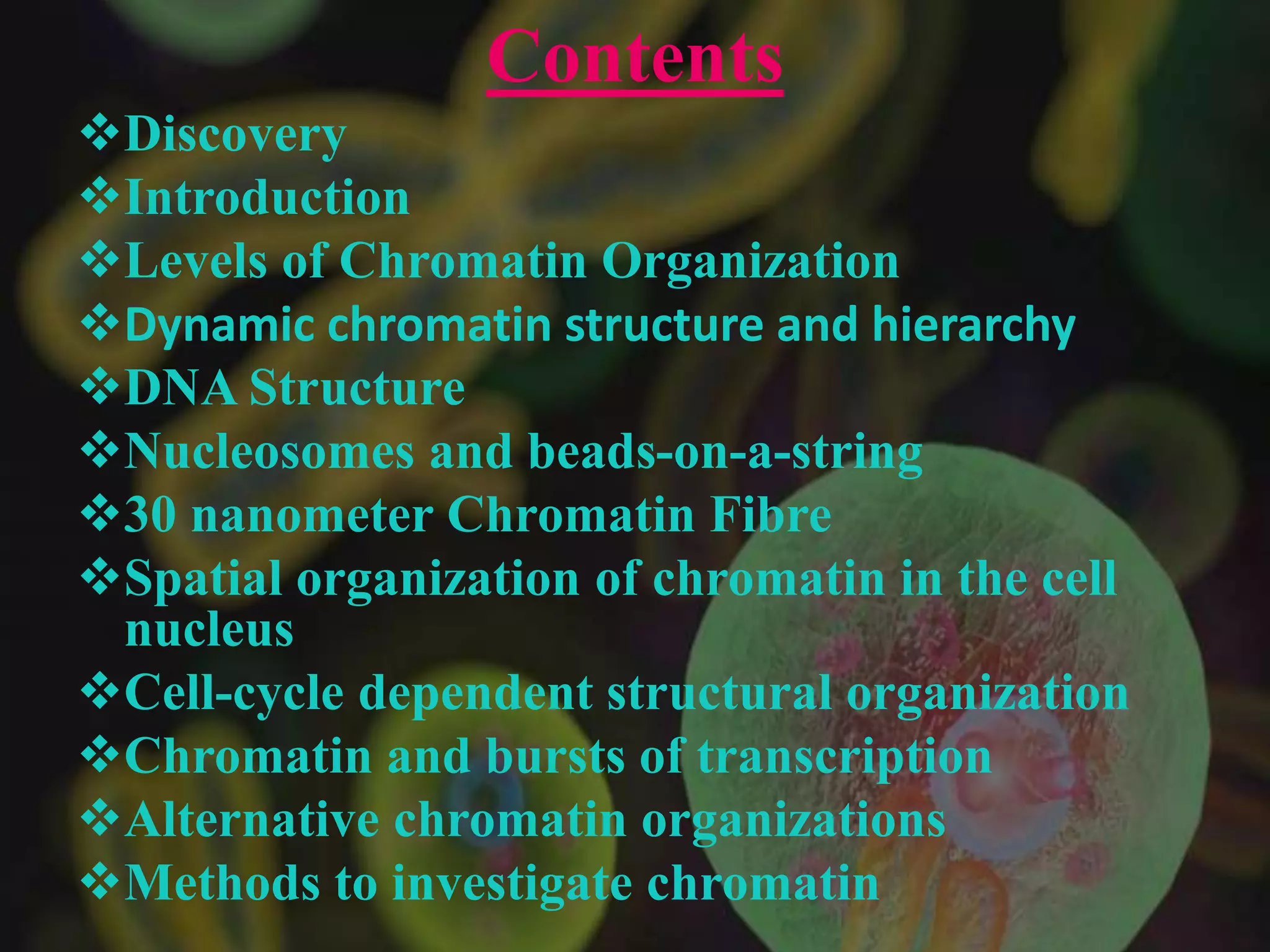 Chromatin | PPT