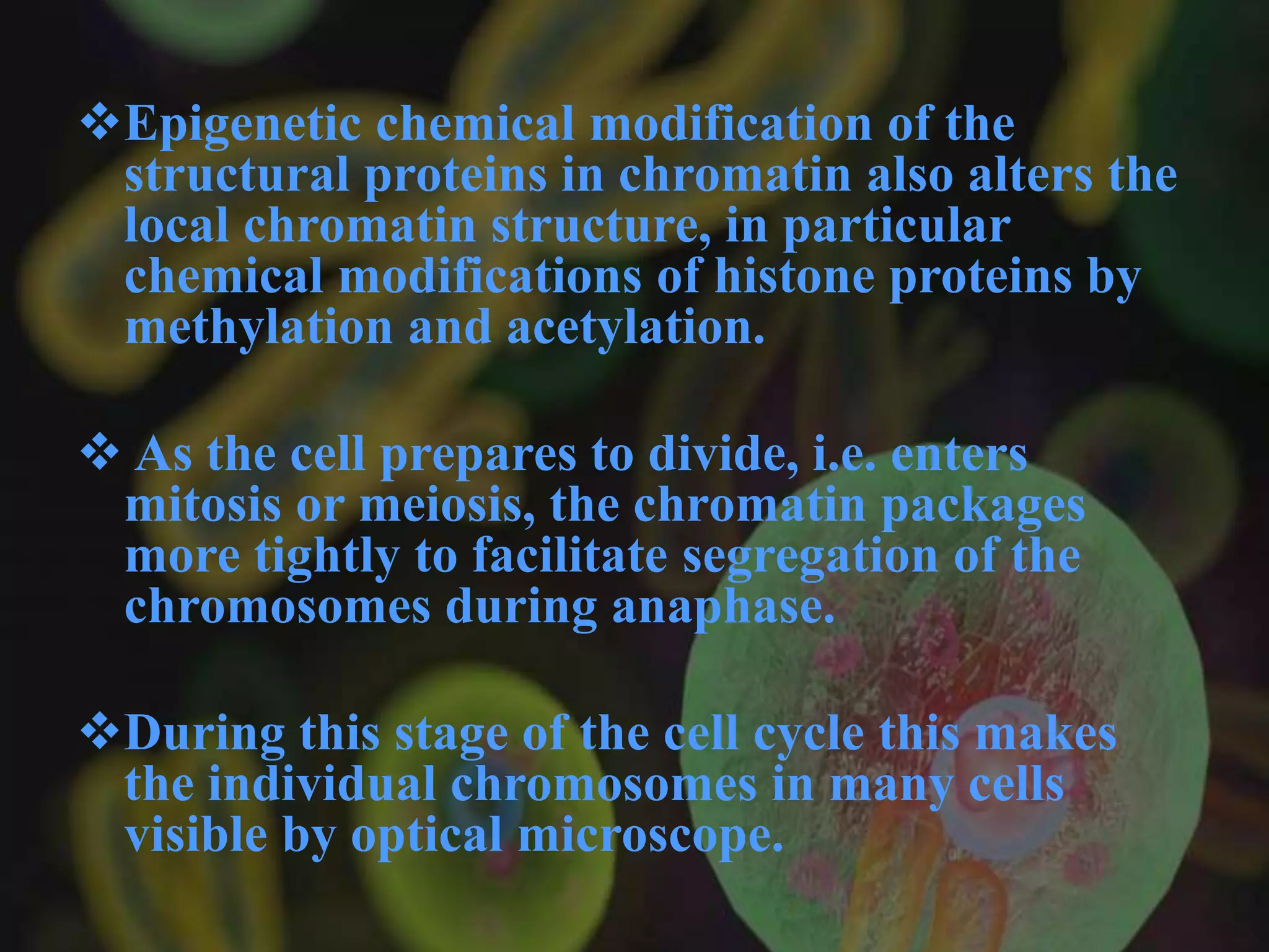 Chromatin | PPT