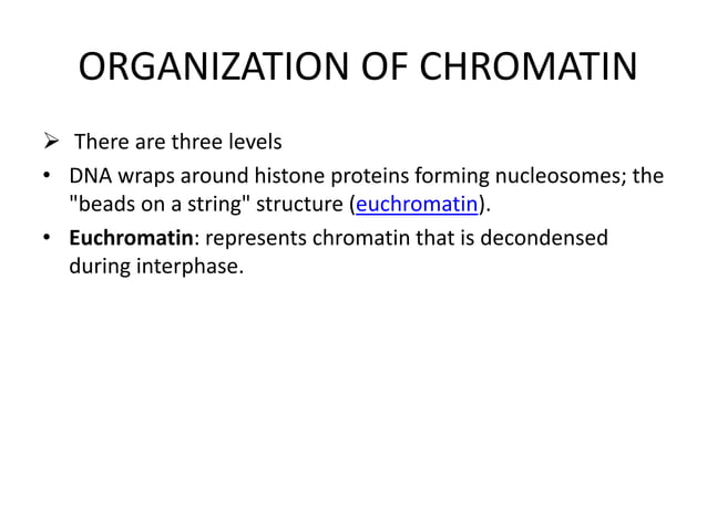 Chromatin, Organization macromolecule complex | PPT