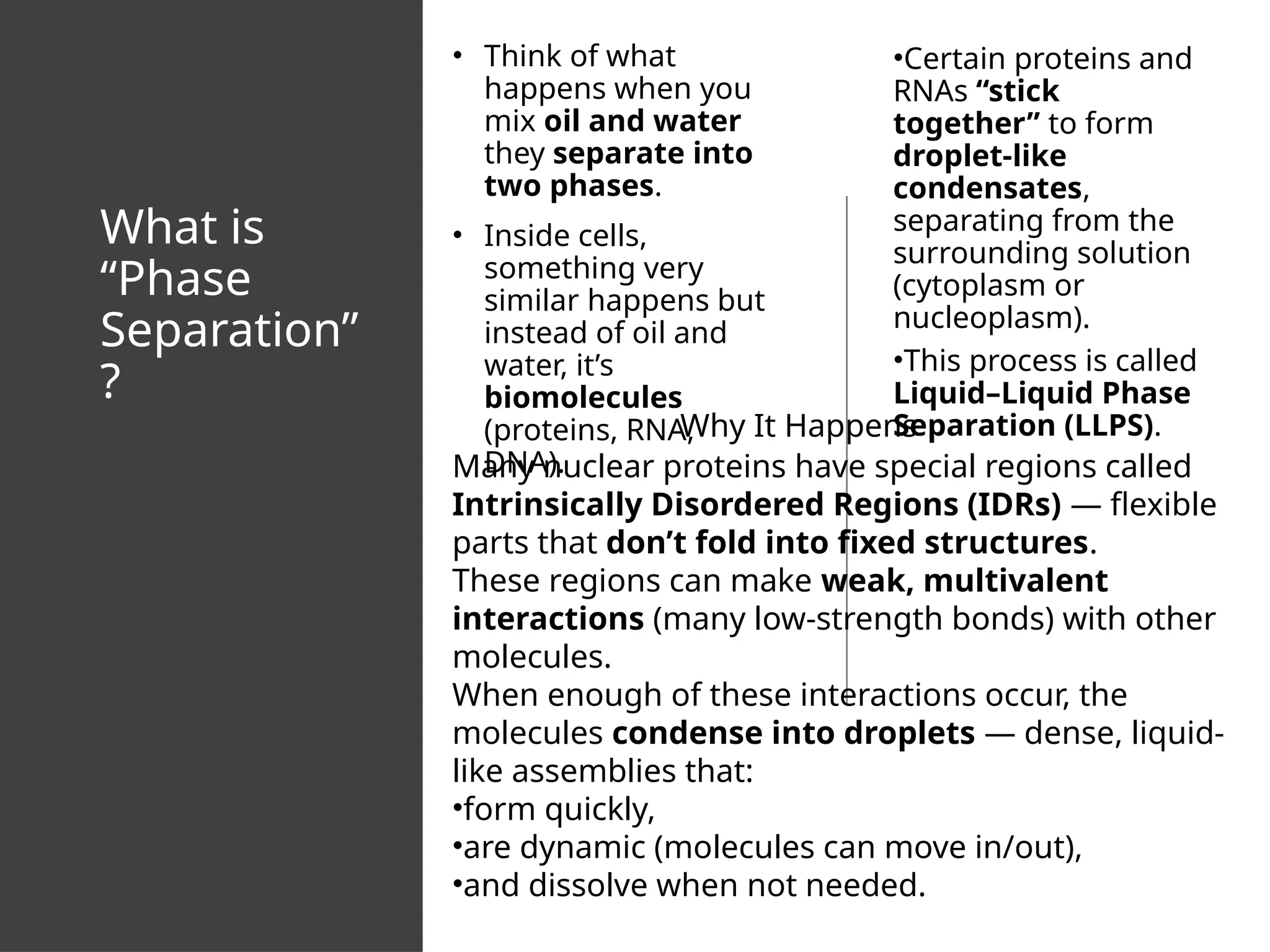 Chromatin architecture (TADs, loops), phase separation in nuclear ...