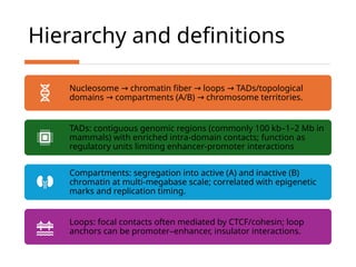 Chromatin architecture (TADs, loops), phase separation in nuclear ...