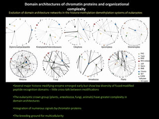 Chromatin Meeting | PPT