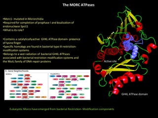 Chromatin Meeting | PPT