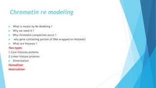 Chromatin modulation and role in gene regulation | PPTX