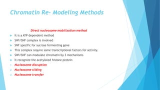 Chromatin modulation and role in gene regulation | PPTX