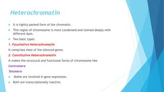 Chromatin modulation and role in gene regulation | PPTX