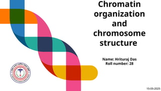 Chromatin organization and chromosome structure (2).pptx