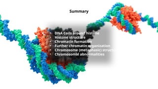Chromatin organization and chromosome structure (2).pptx