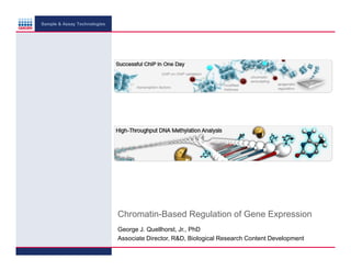 Chromatin regulation 2013 | PPT