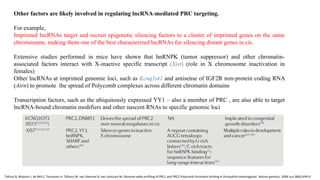 LncRNA and chromatin regulation | PPT